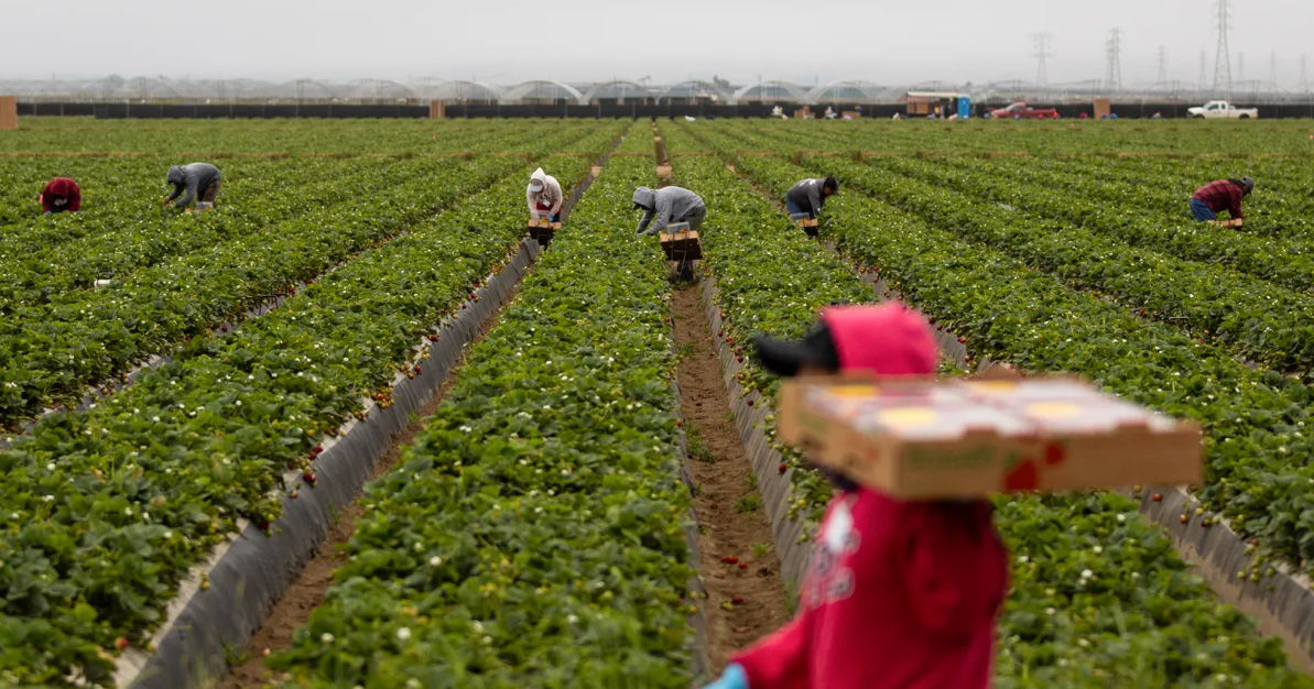 State inspectors are supposed to visit all farmworker housing to ensure ...