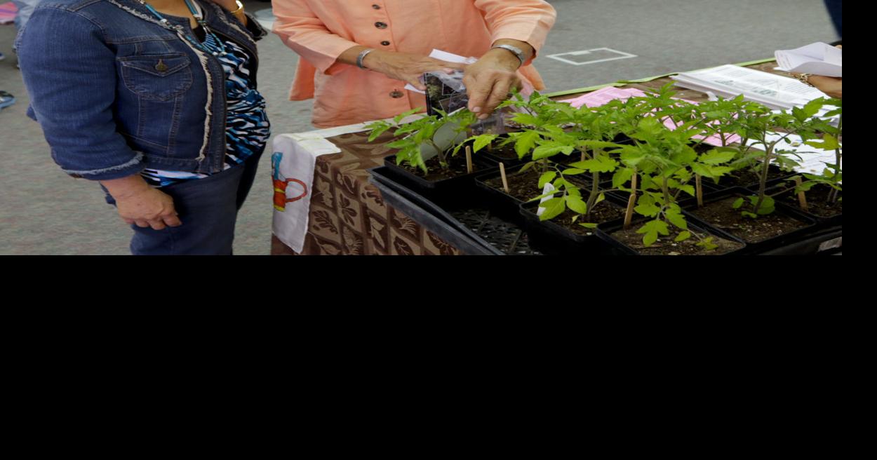 GALLERY: Nipomo Seed Library opens | Local News | lompocrecord.com