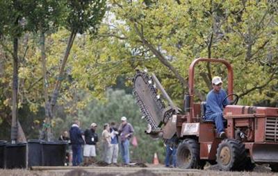 West Coast Arborists reforest park | Local News | lompocrecord.com