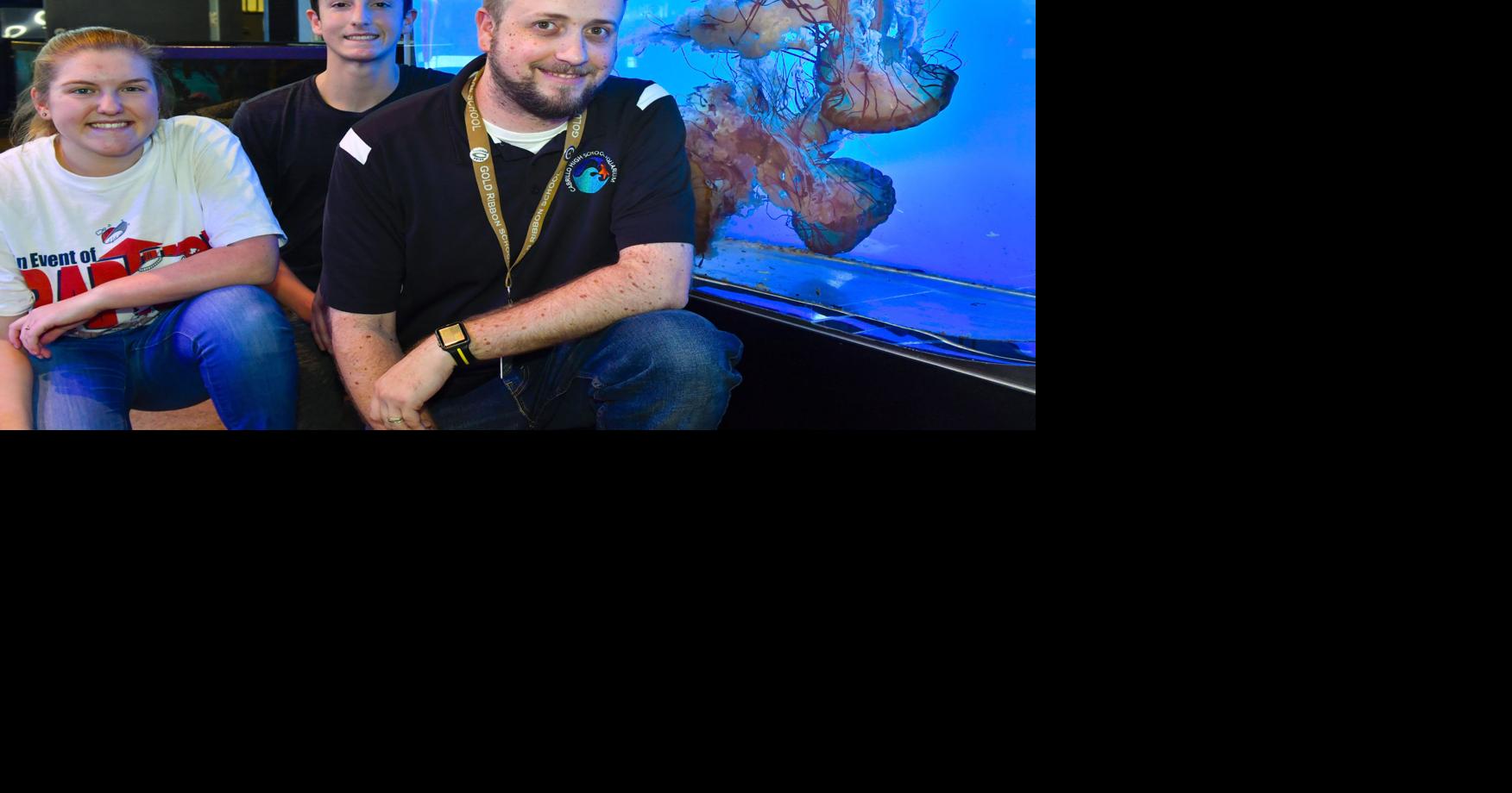 Cabrillo's Chris Ladwig selected as Lompoc school district's teacher of ...