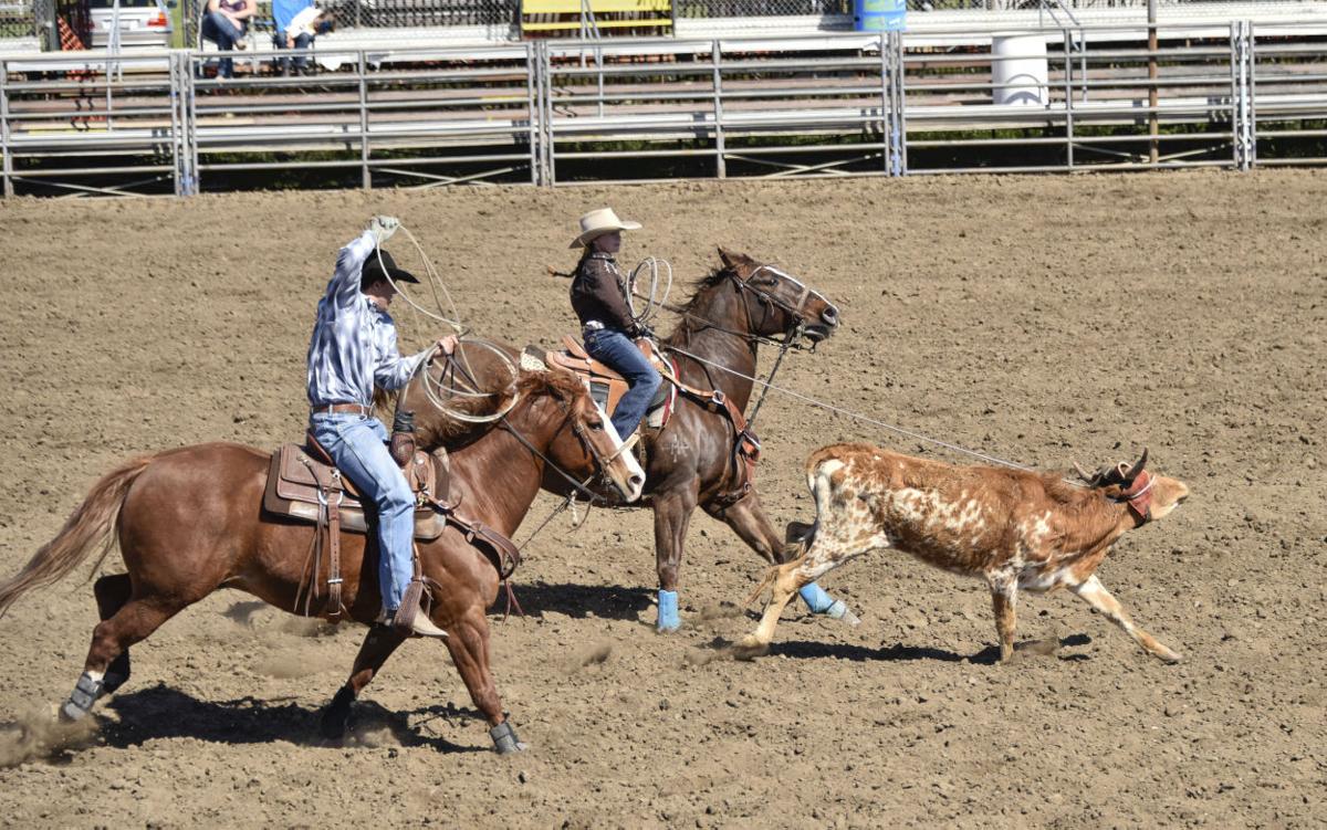 Top riders earn Mini Rodeo spots | Rodeo | lompocrecord.com
