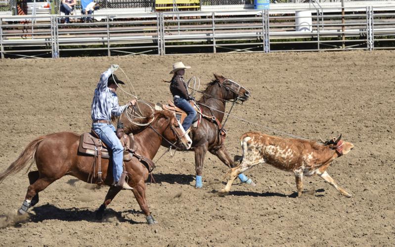 Top riders earn Mini Rodeo spots | Rodeo | lompocrecord.com