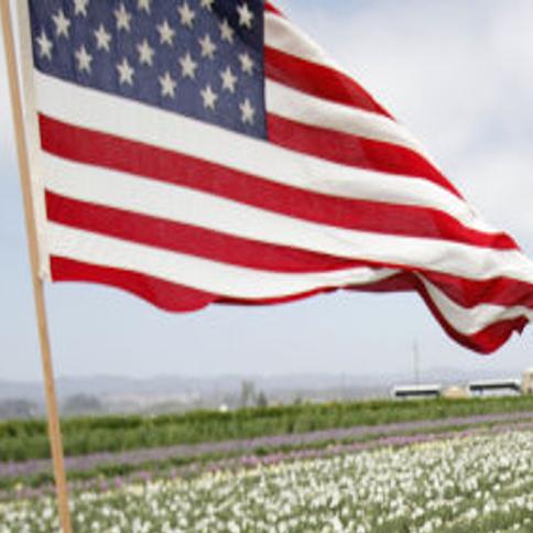 Lompoc Flower Field Flag | Best Flower Site