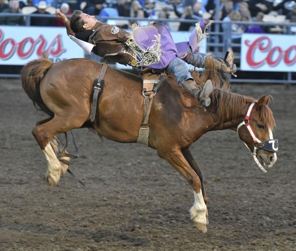 Thrills, chills and spills at the 75th annual Elks Rodeo ...