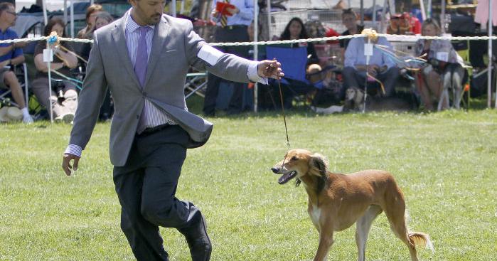 Competition begins at Ryon Park | Local News | lompocrecord.com