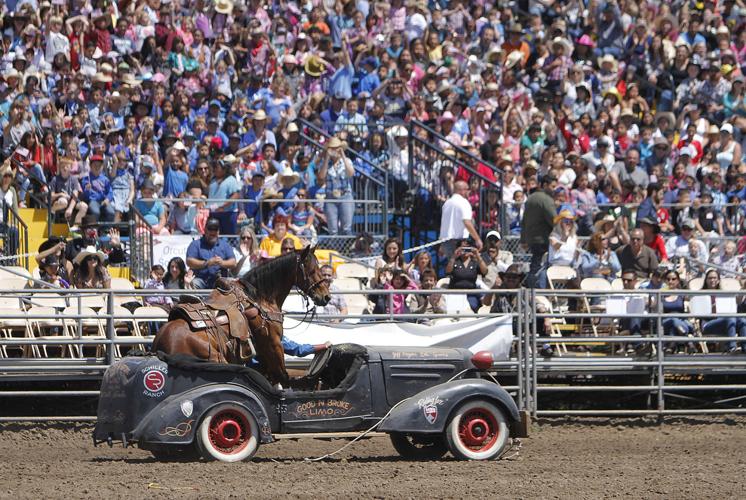 Minetti Mini Rodeo teaching new cowboys, cowgirls | Local News ...