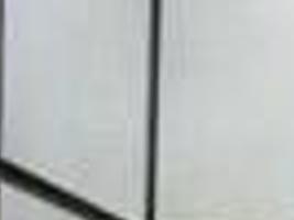 zach galifianakis baby carrier