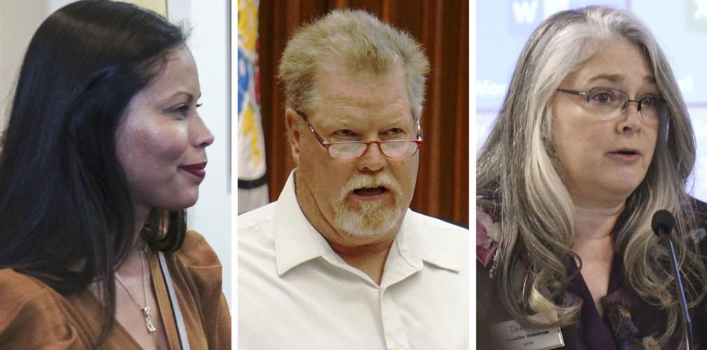 Santa Barbara County voters to cast ballots for mayor, council, school ...
