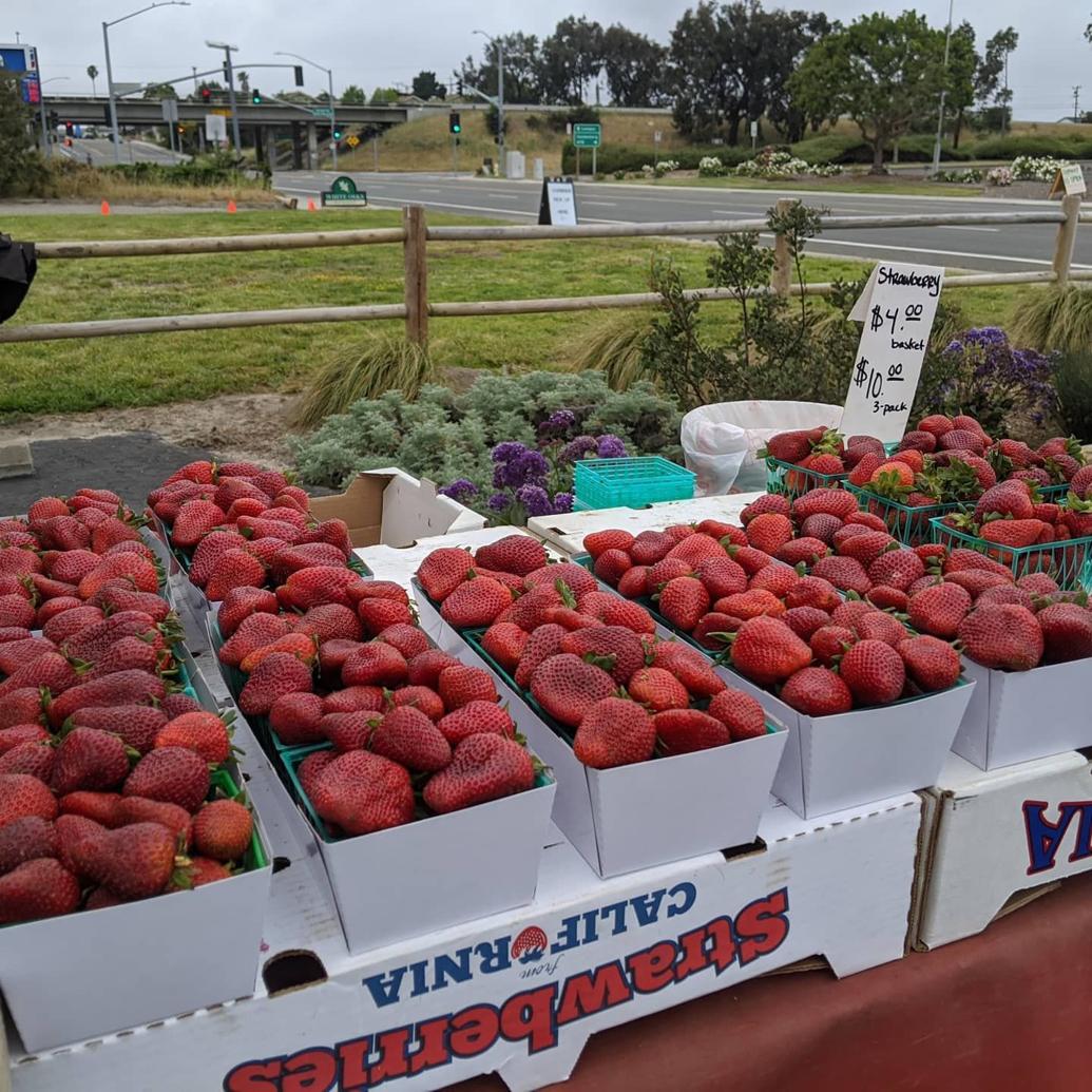 Route One Farmers Market joins 'Market Match' program, boosting ...