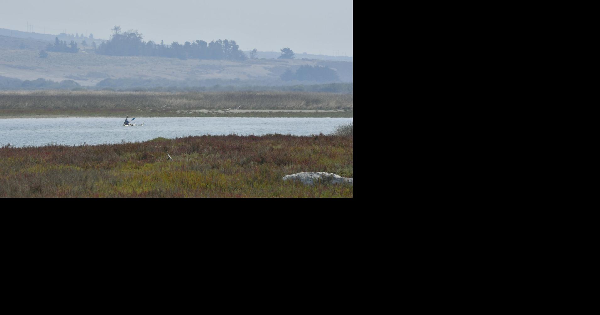 Seasonal closures of Lompoc's Surf Beach, Ocean Park to start Friday ...