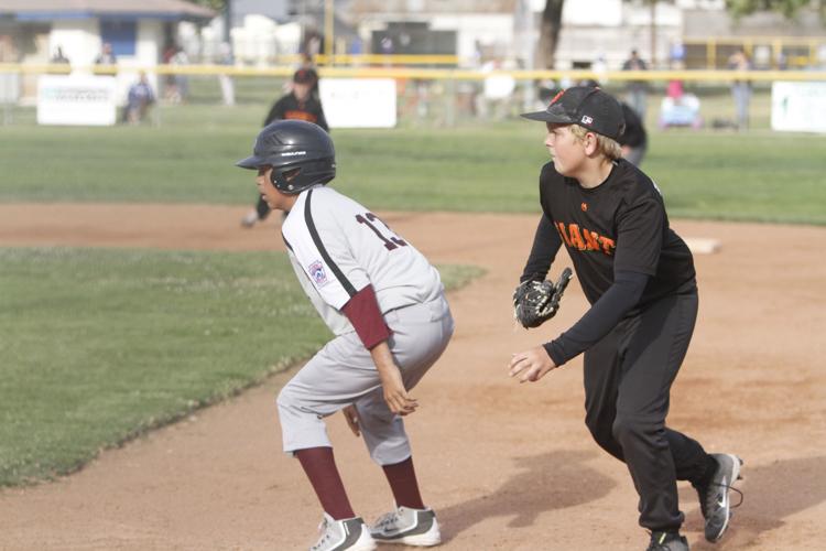 Lompoc Wildcats secure Valley title, now prepares for Little League All ...