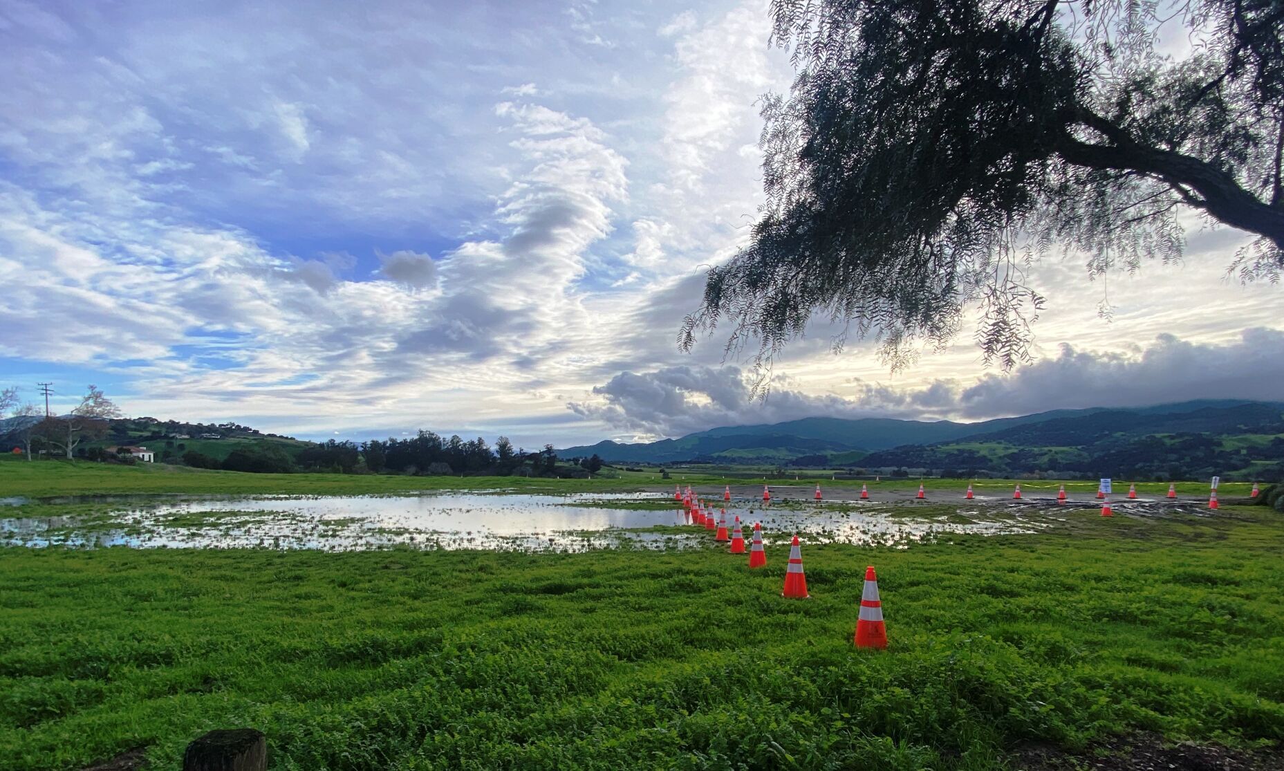 Julefest Tree Burn canceled due to poor field conditions; tree drop ...
