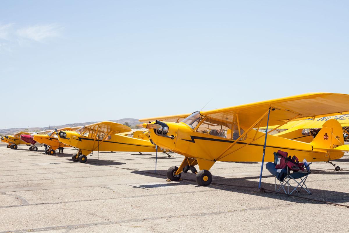 Piper Cubs explore skies over Lompoc | Local News | lompocrecord.com