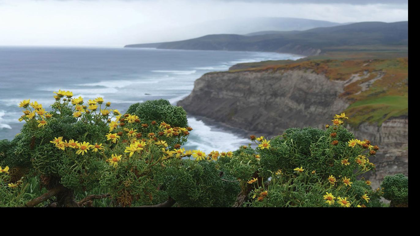 Merchant steamer ship visible at Surf Beach | Local News | lompocrecord.com