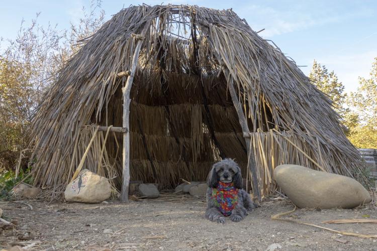 Where's Sparkie? Visiting a botanic garden | Local News | lompocrecord.com