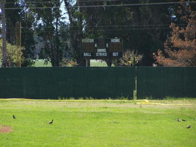 Orcutt Babe Ruth: Field of hopes and dreams | Baseball | lompocrecord.com