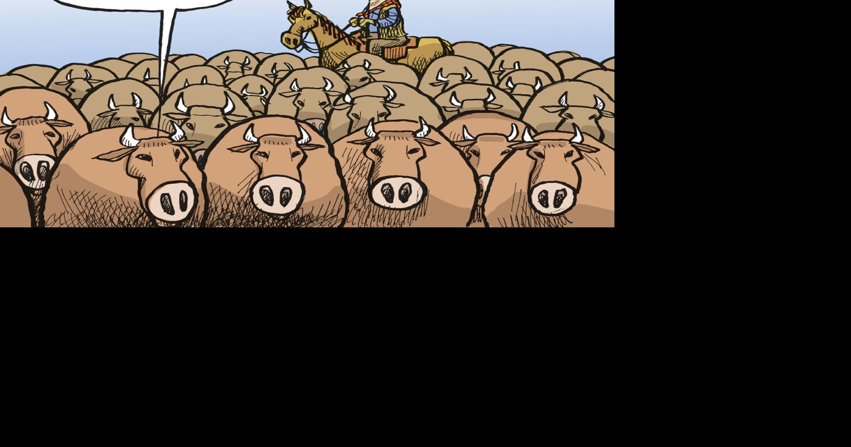 Editorial Cartoon: TSA | | lompocrecord.com