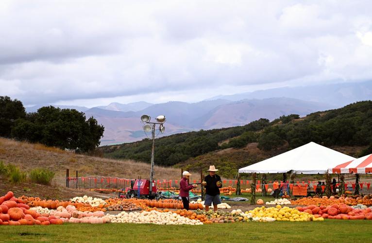 Los Flores Ranch Park celebrates 15th anniversary Saturday with range ...
