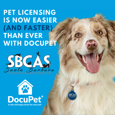 Animal Services, DocuPet partner to create more effective pet licensing ...