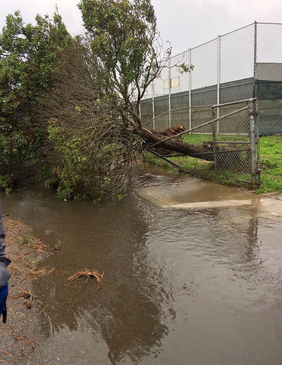 Storm causes damage at several Lompoc schools | Local News ...