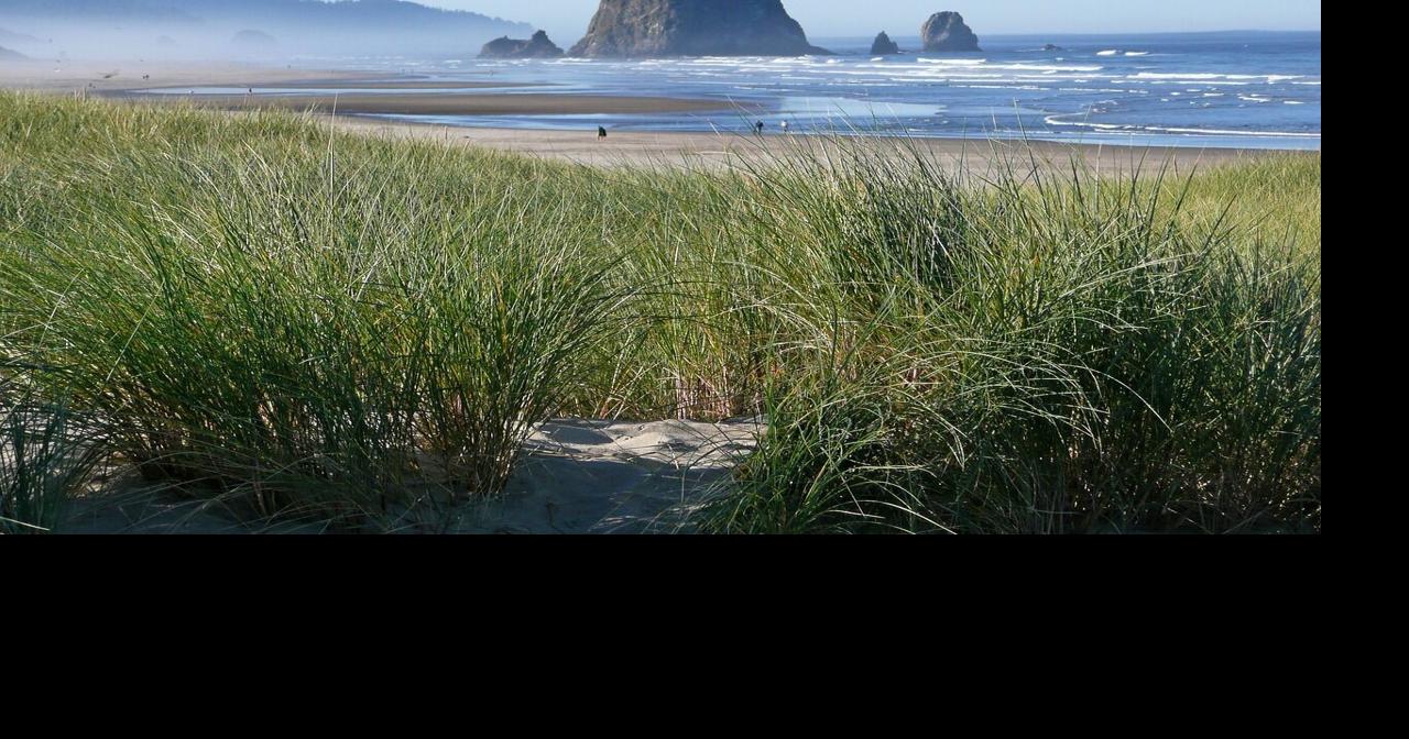 Persistent marine layer, fog, afternoon clearing this week | Central ...