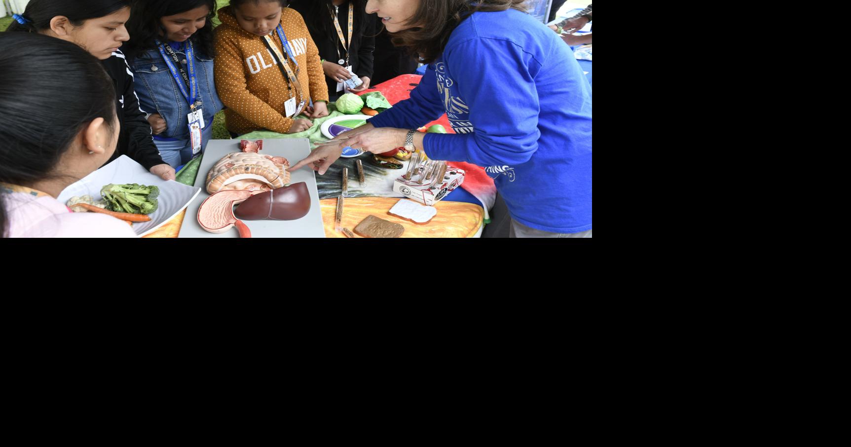 Christine Bisson elected as board chair for Foodbank of Santa Barbara ...