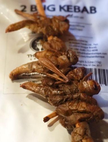 A different delicacy — bugs — comes to the Santa Barbara County Fair ...
