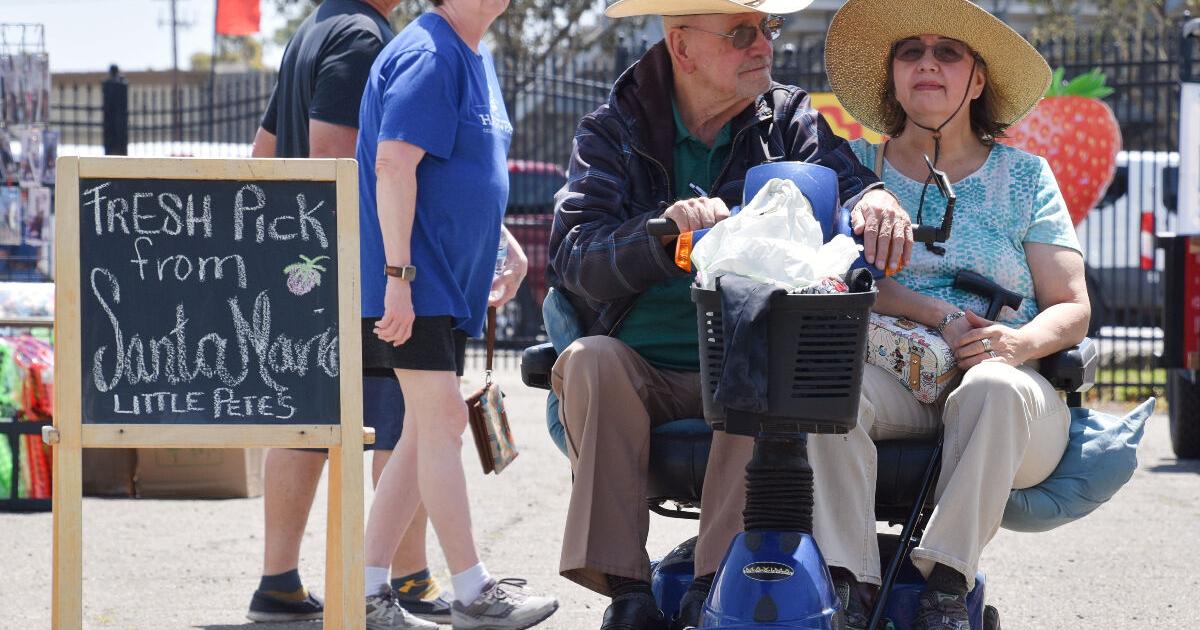 Santa Maria Strawberry Festival makes full return to the Fairpark ...