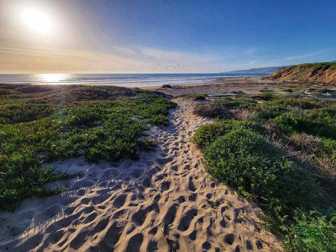 I see you, Jalama: Where the burgers are the secret ingredient for life ...