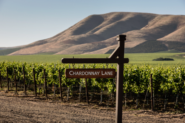 Santa Barbara Vintners hosts 'Behind the Scenes' multi-day wine tasting ...