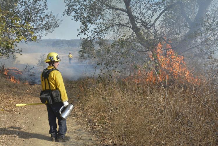 Lompoc firefighters battle riverbed blaze | Local News | lompocrecord.com