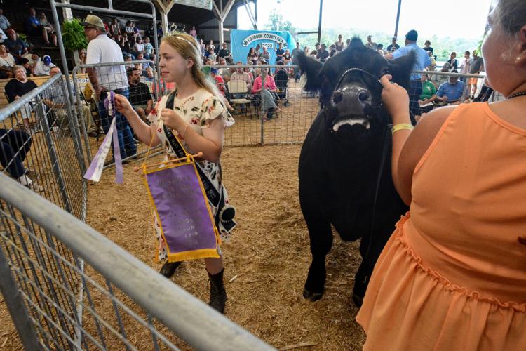 2022 Loudoun County Fair | | loudounnow.com