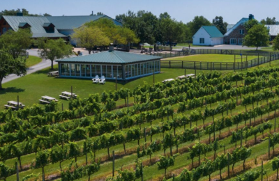 Former Loudoun Winery Owner Pleads Guilty in $4M Fraud Case | Public ...