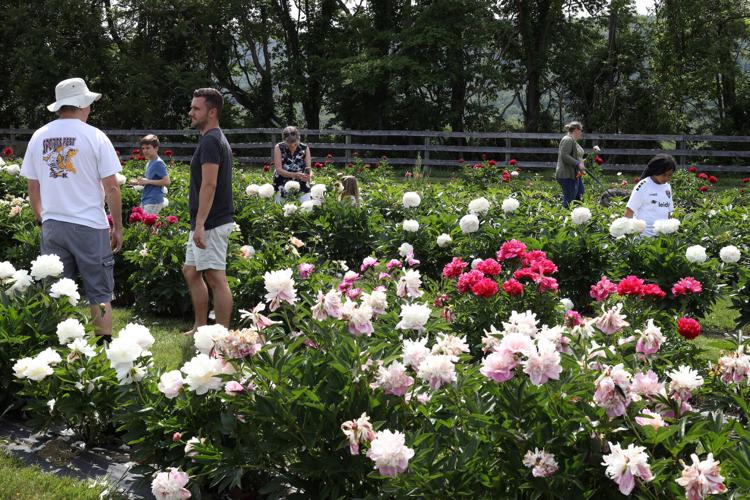 Photo Gallery: Spring Farm Tour Returns | News | loudounnow.com