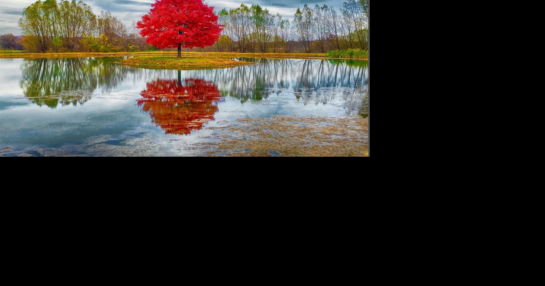 Balch Exhibit Features Historic Building, Landscape Photos | Get Out ...