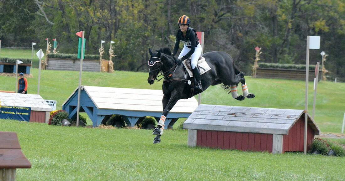 Visit Loudoun: Tumble Into Fall | Get Out Loudoun | loudounnow.com