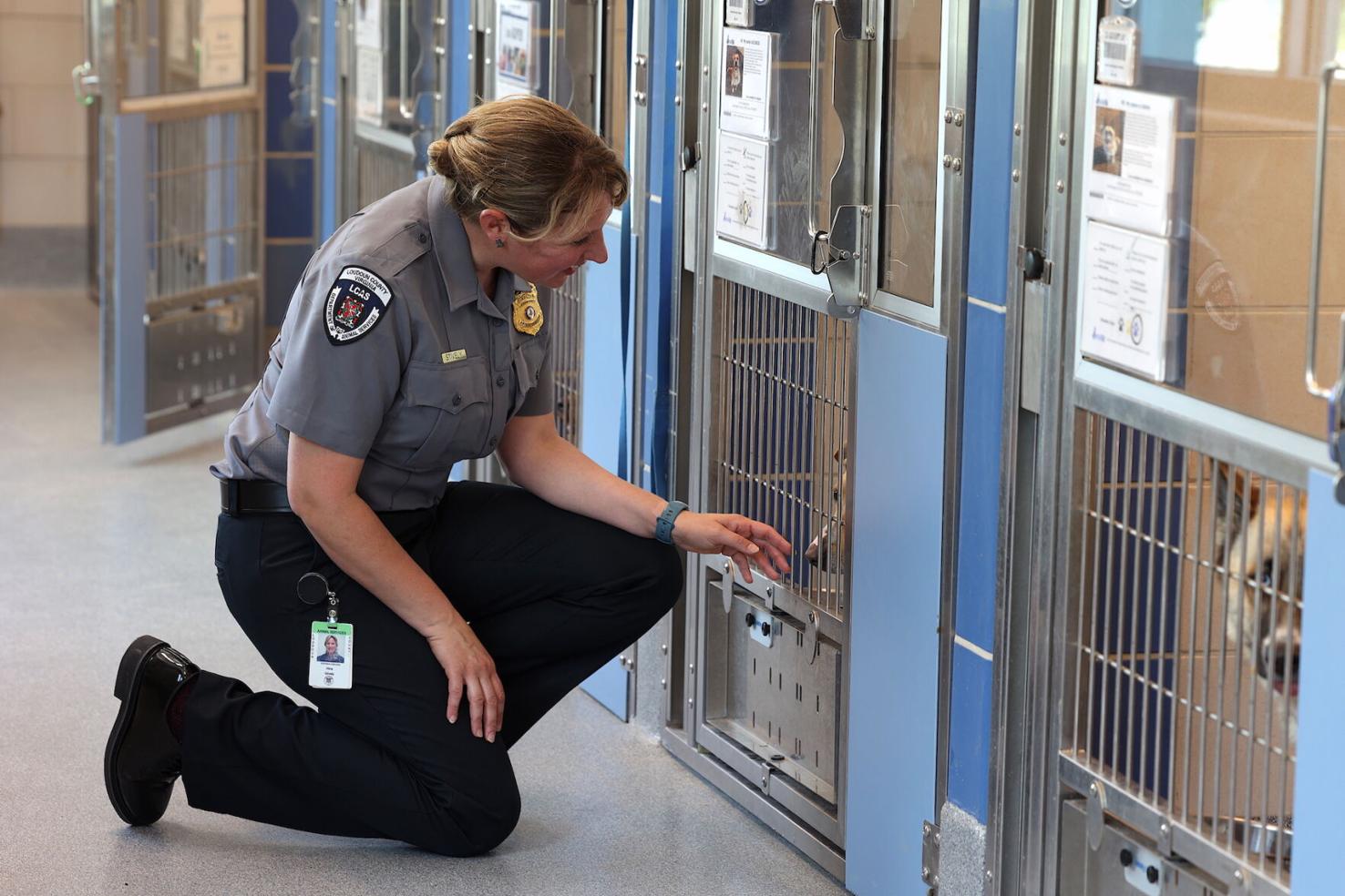 Animal Welfare Day Celebrated at Shelter | News | loudounnow.com