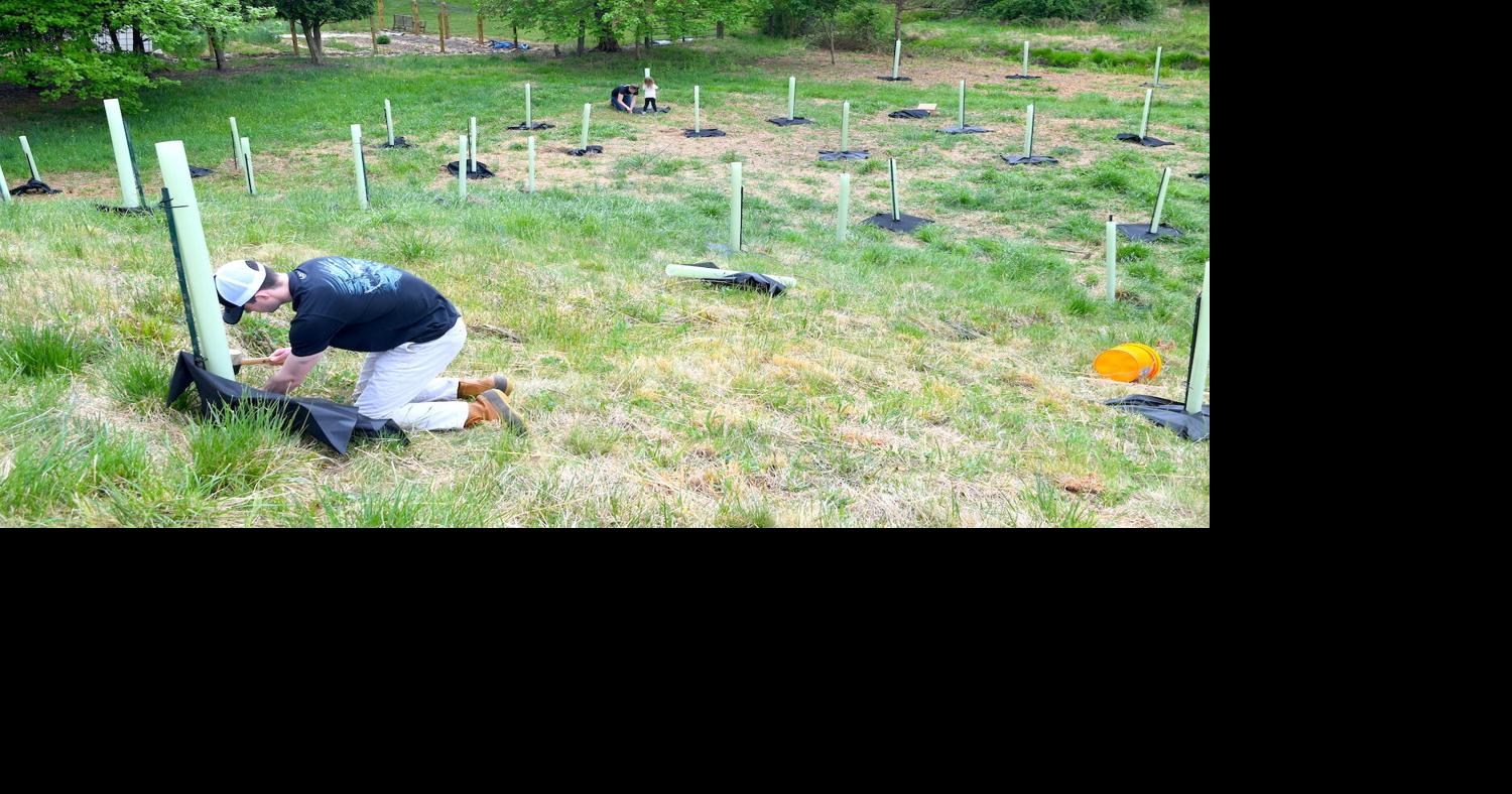 Community Tree Planting Creates a New Buffer at Round Hill Park | Towns ...