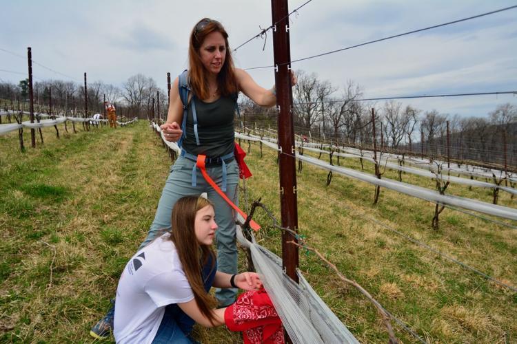 2025: The Year in Review in Photos | News | loudounnow.com