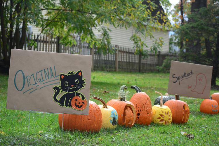 Photo Gallery: Fall Into Hamilton 2023 | Towns | loudounnow.com