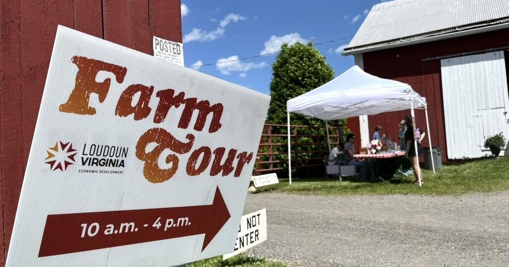 42 Businesses Ready for Loudoun Spring Farm Tour | Get Out Loudoun ...