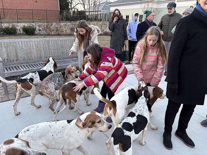 Middleburg Kicks Off America 250 Events with Celebration of Hounds ...