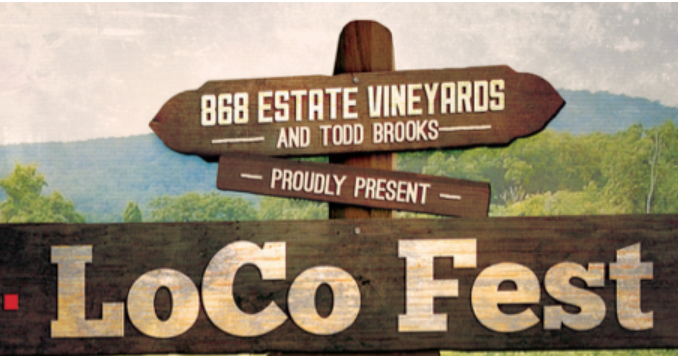 Loudoun Musicians Join Forces for LoCo Fest on Sunday | Get Out Loudoun ...