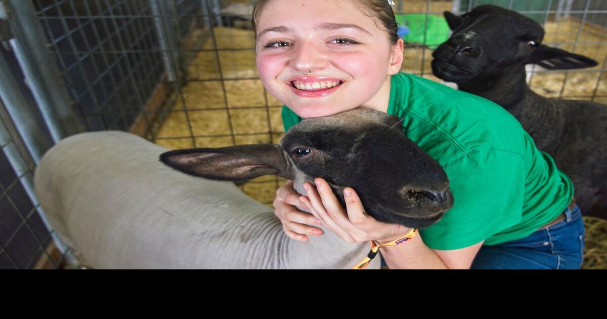 Photo Gallery: Loudoun County Fair Opens | Get Out Loudoun | loudounnow.com