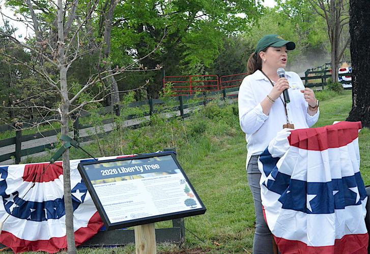 Liberty Tree Planted at Banshee Reeks | News | loudounnow.com