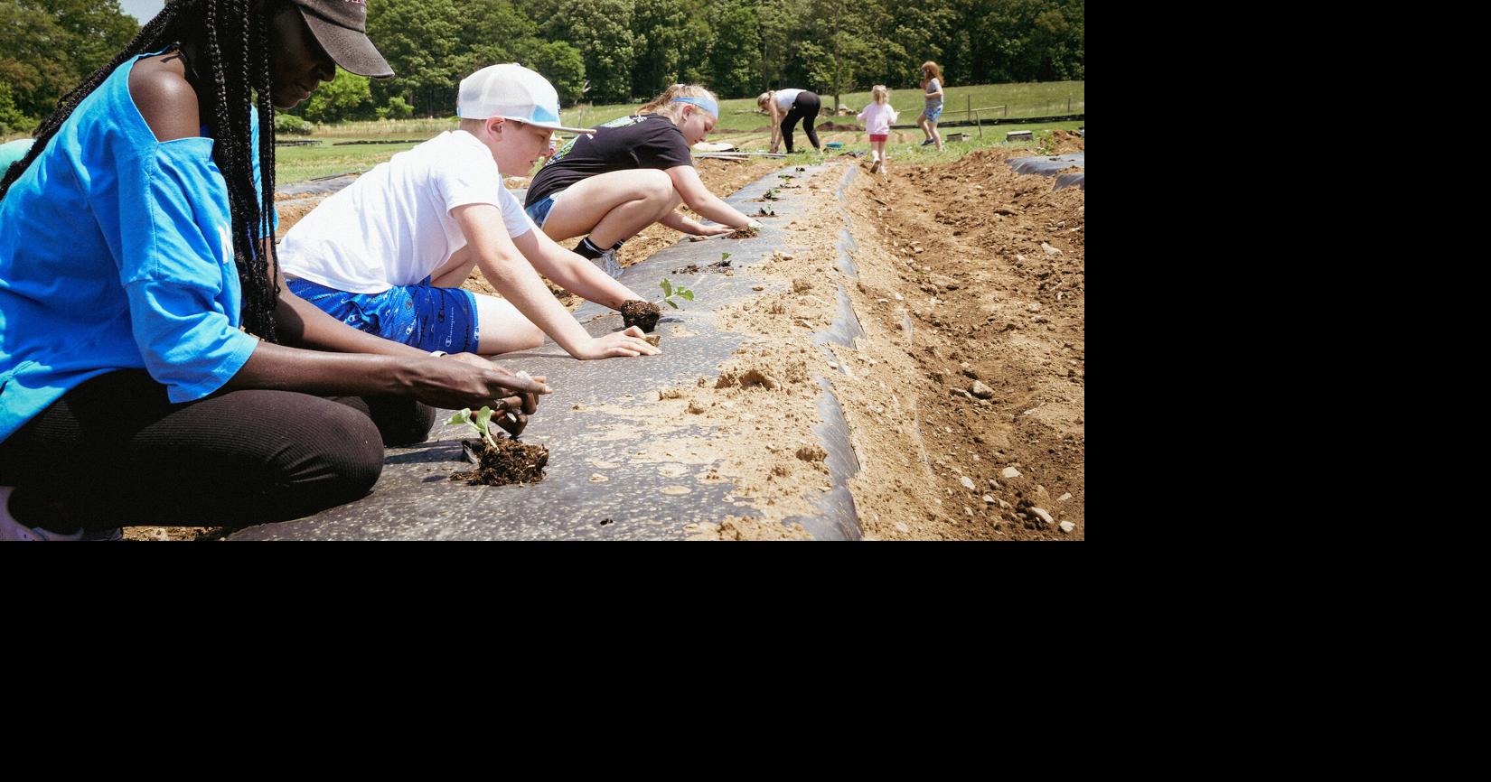 JK Community Farm Celebrates 5 Years, 1M Pounds of Donated Food ...