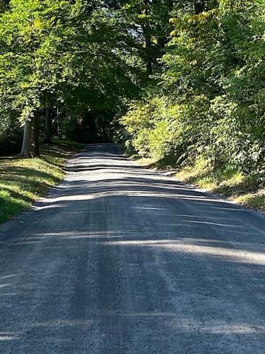 Kershner Sees ‘Broken’ System on Paving Rural Roads | News | loudounnow.com