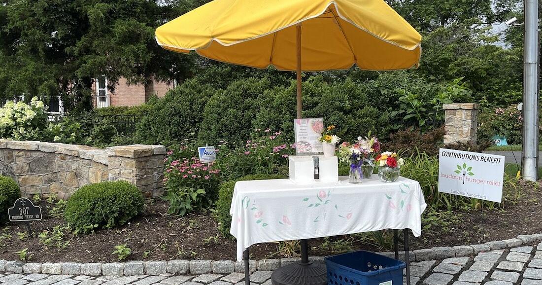 Leesburg Flower Stand Raises $31K for Hunger Relief | Giving Back ...