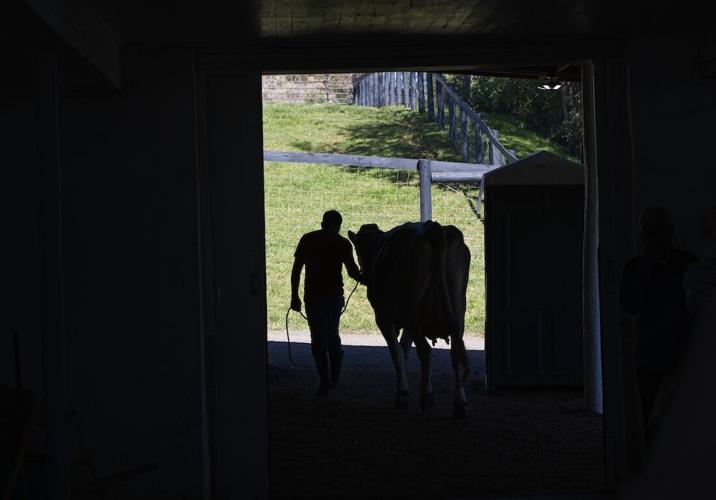 Photo Gallery: Fall Farm Tour at Brookfield Dairy Farm | Get Out ...