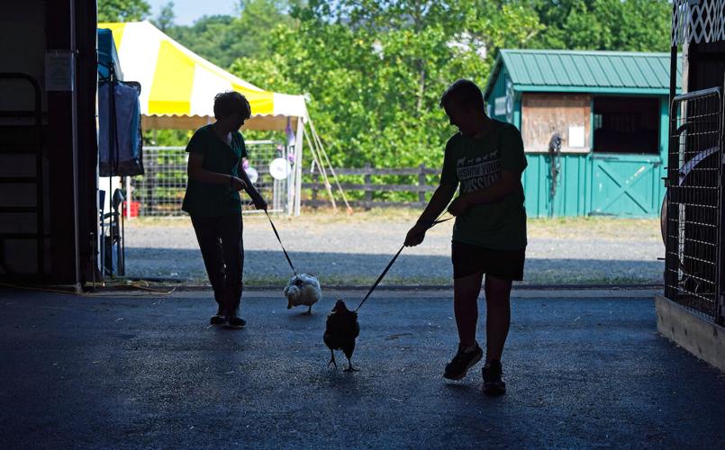 Photo Gallery: Loudoun County Fair Opens | Get Out Loudoun | loudounnow.com